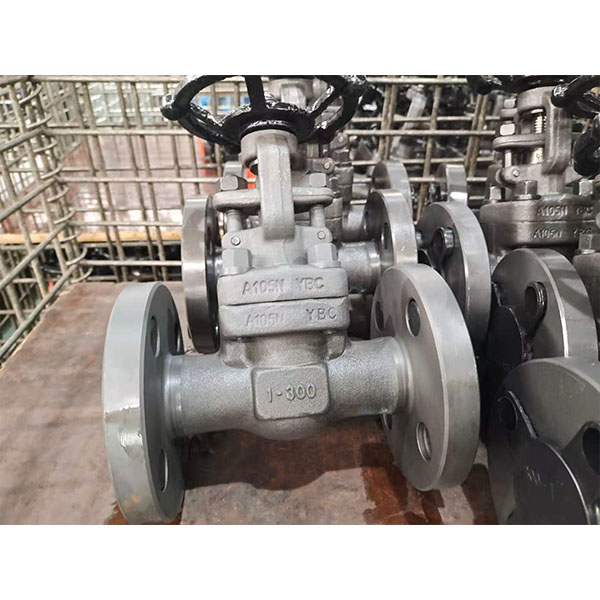 API602 Forged Gate Valve - Winway Valve