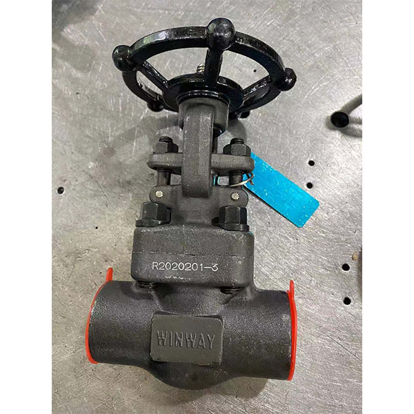 API602 Forged Gate Valve - Winway Valve