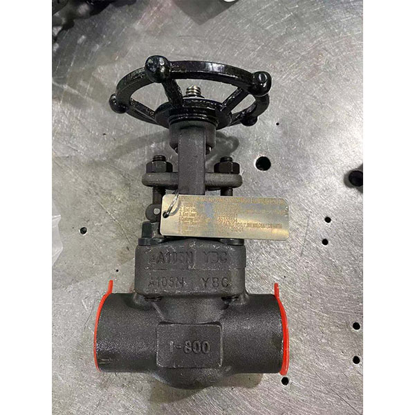 API602 Forged Gate Valve - Winway Valve