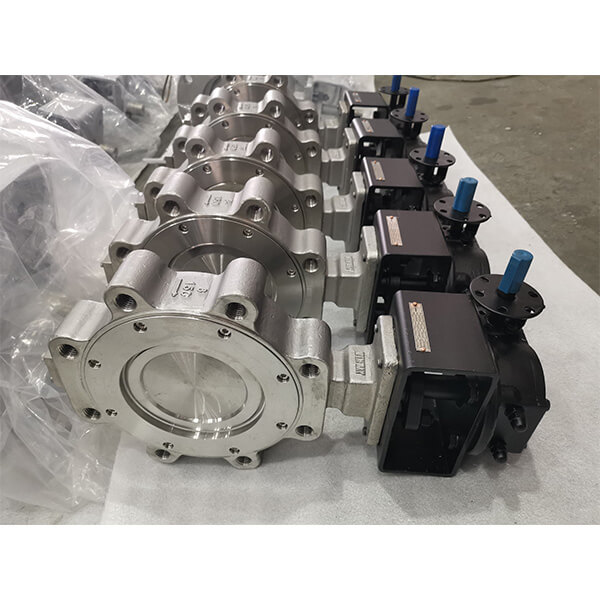 Double Offset Butterfly Valve - Winway Valve