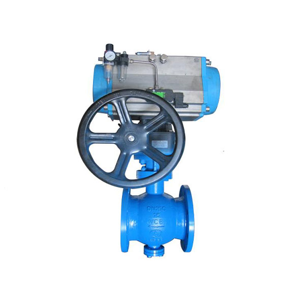 Eccentric Semi-Ball Valve - Winway Valve