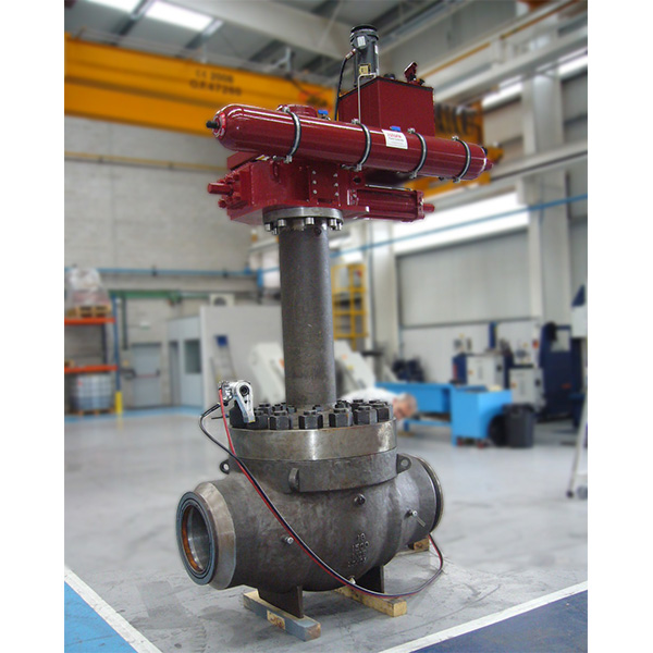 Trunnion Mounted Ball Valve, Top Entry - Winway Valve
