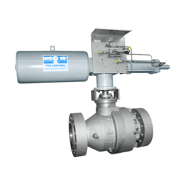 Trunnion Mounted Ball Valve, Side Entry (2-pc body) - Winway Valve